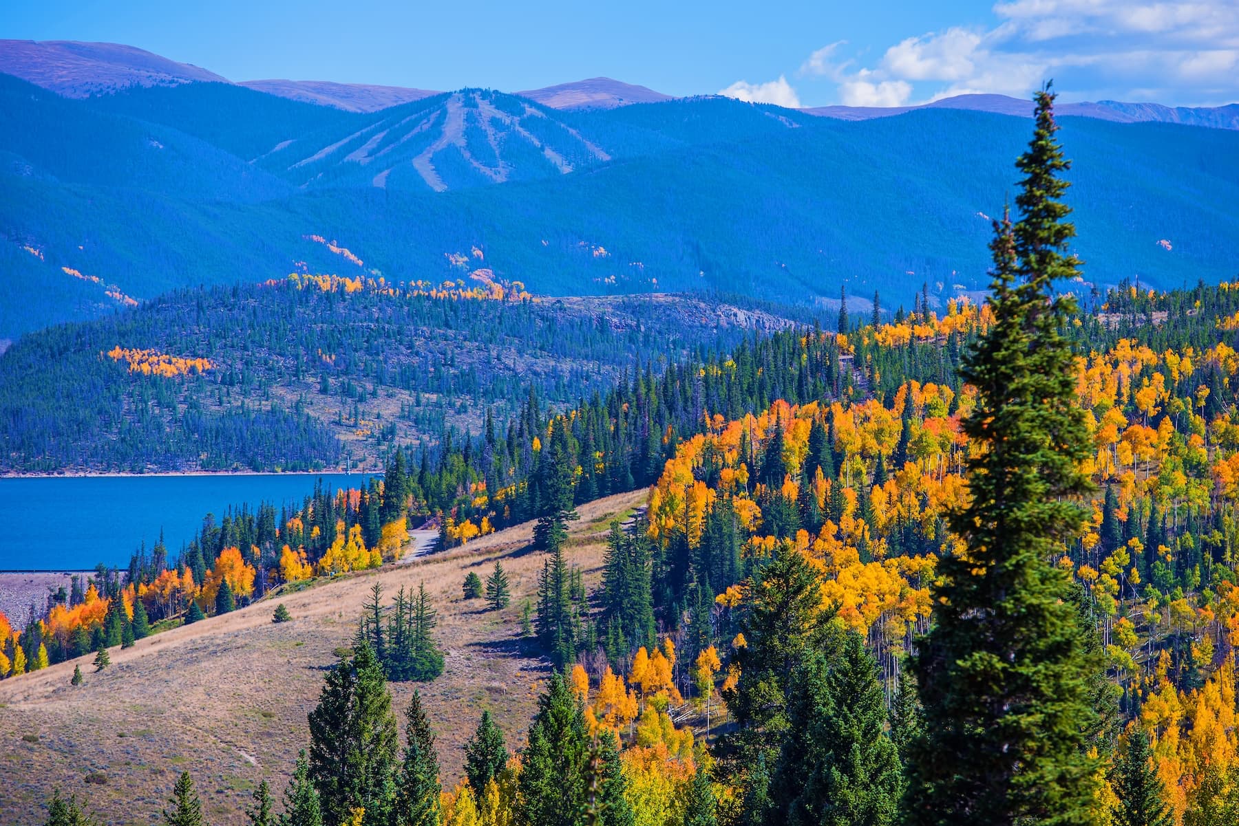 Summerwood Homeowners Association | Dillon, ColoradoSummerwood ...